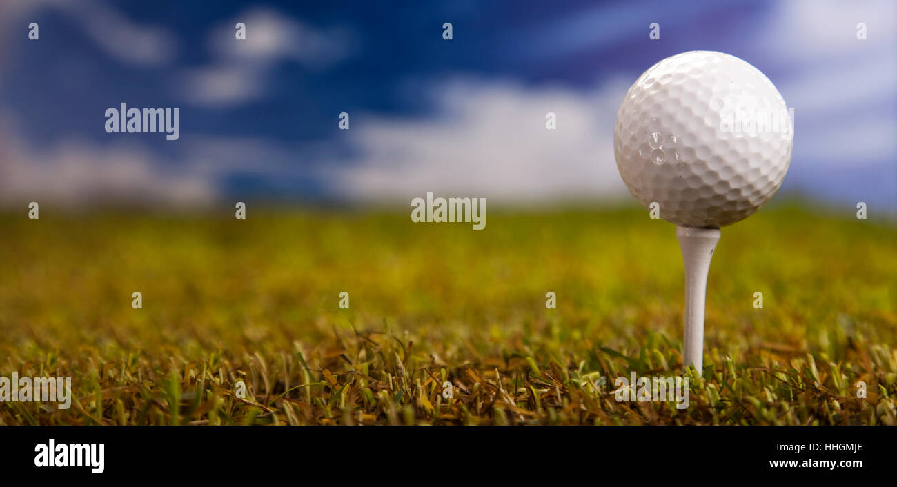 sport, sports, lifestyle, ball, association, club, golf, golfer, object ...