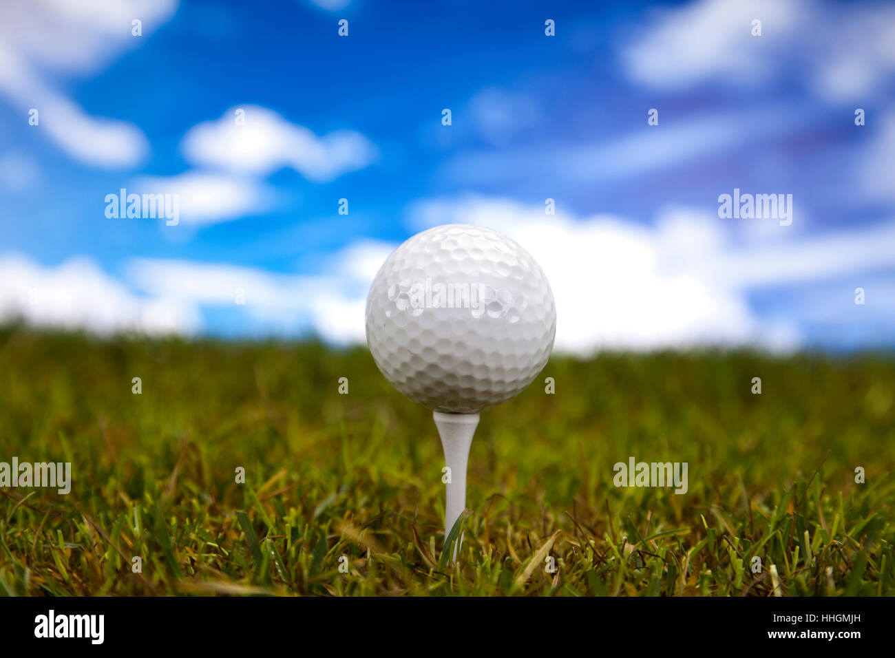 sport, sports, lifestyle, ball, association, club, golf, golfer, object ...