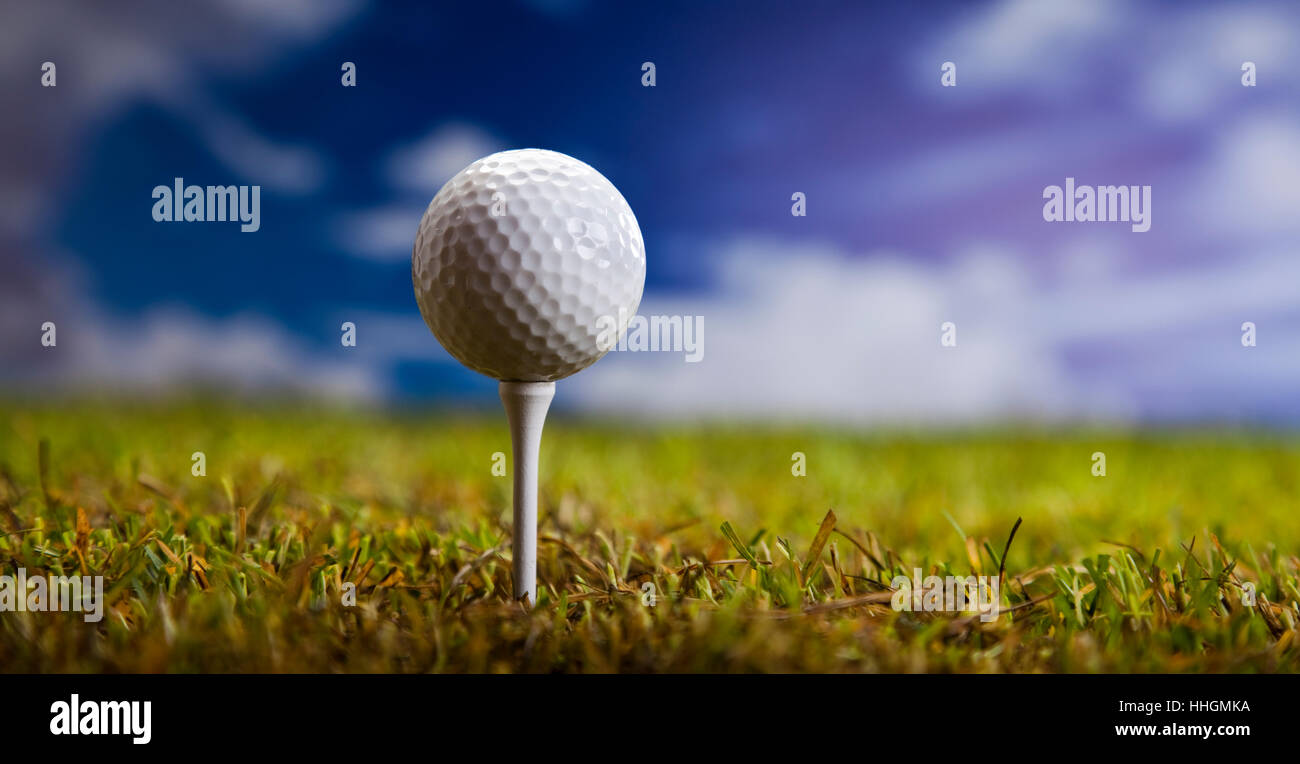 sport, sports, lifestyle, ball, association, club, golf, golfer, object ...