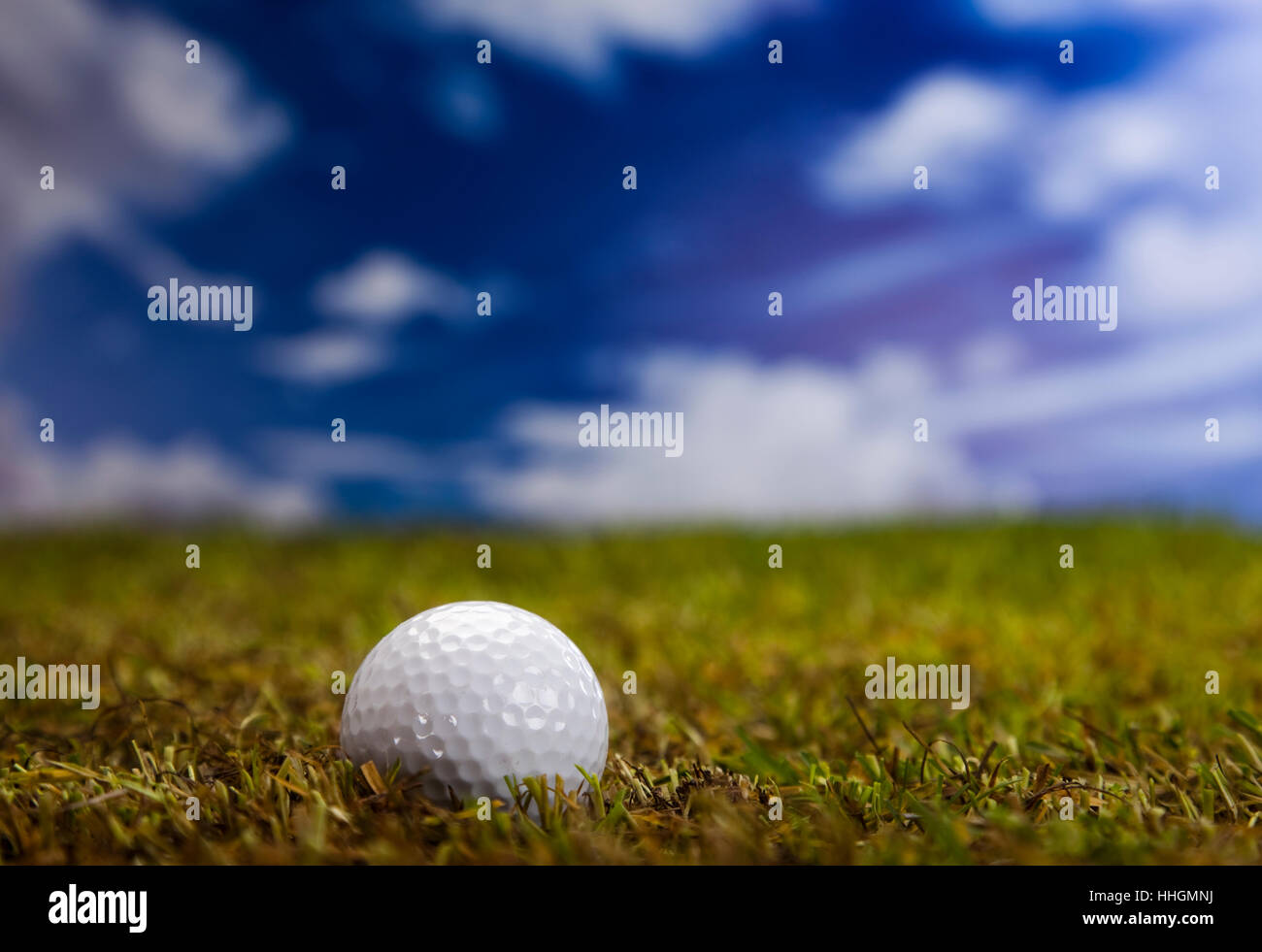 sport, sports, lifestyle, ball, association, club, golf, golfer, object ...