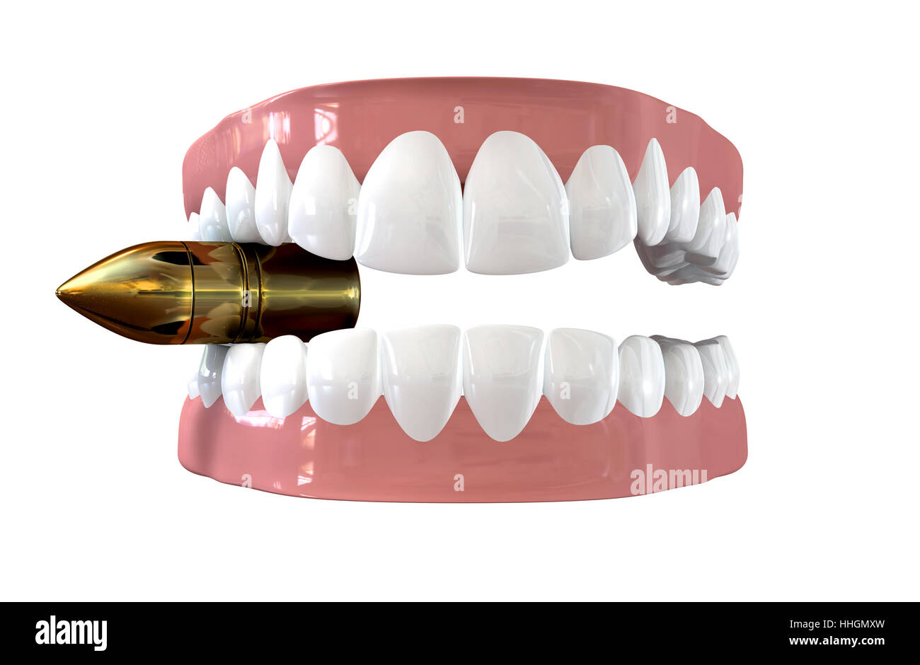 isolated, bear, teeth, face, brave, encounter, shot, suffer, meet ...