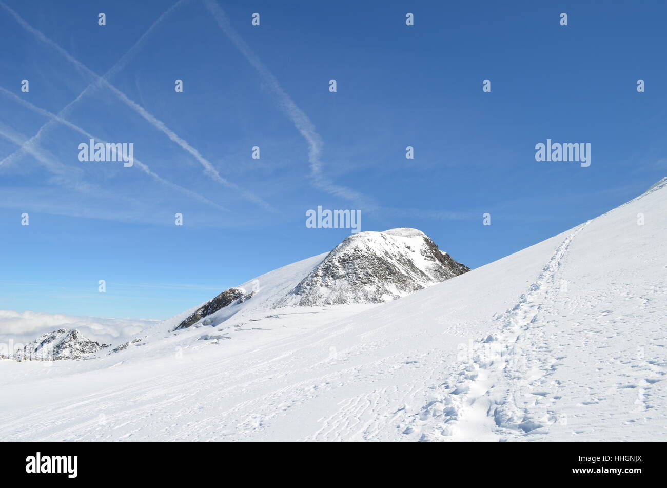 Wilder freiger hi-res stock photography and images - Alamy