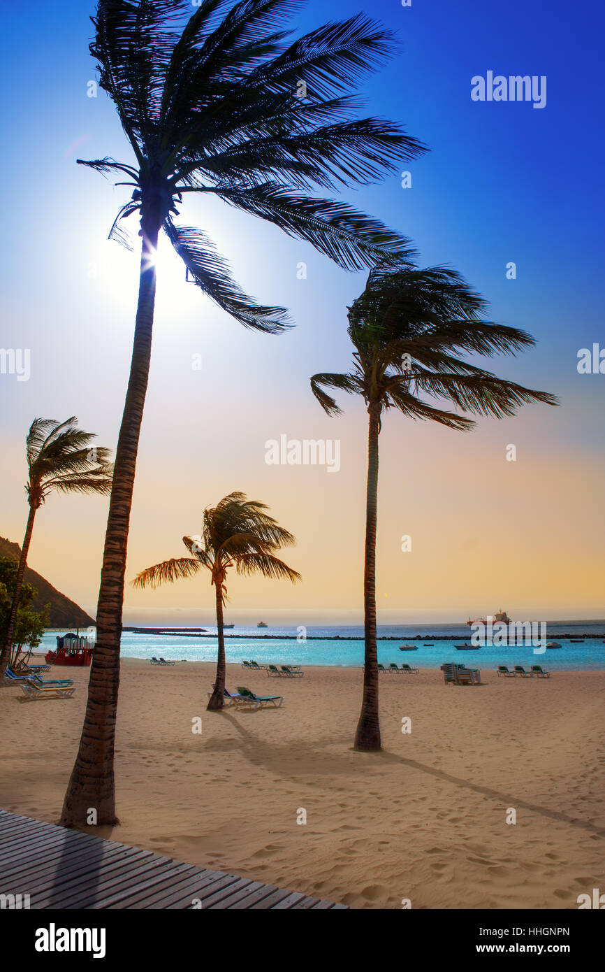 blue, travel, model, design, project, concept, plan, draft, tree ...