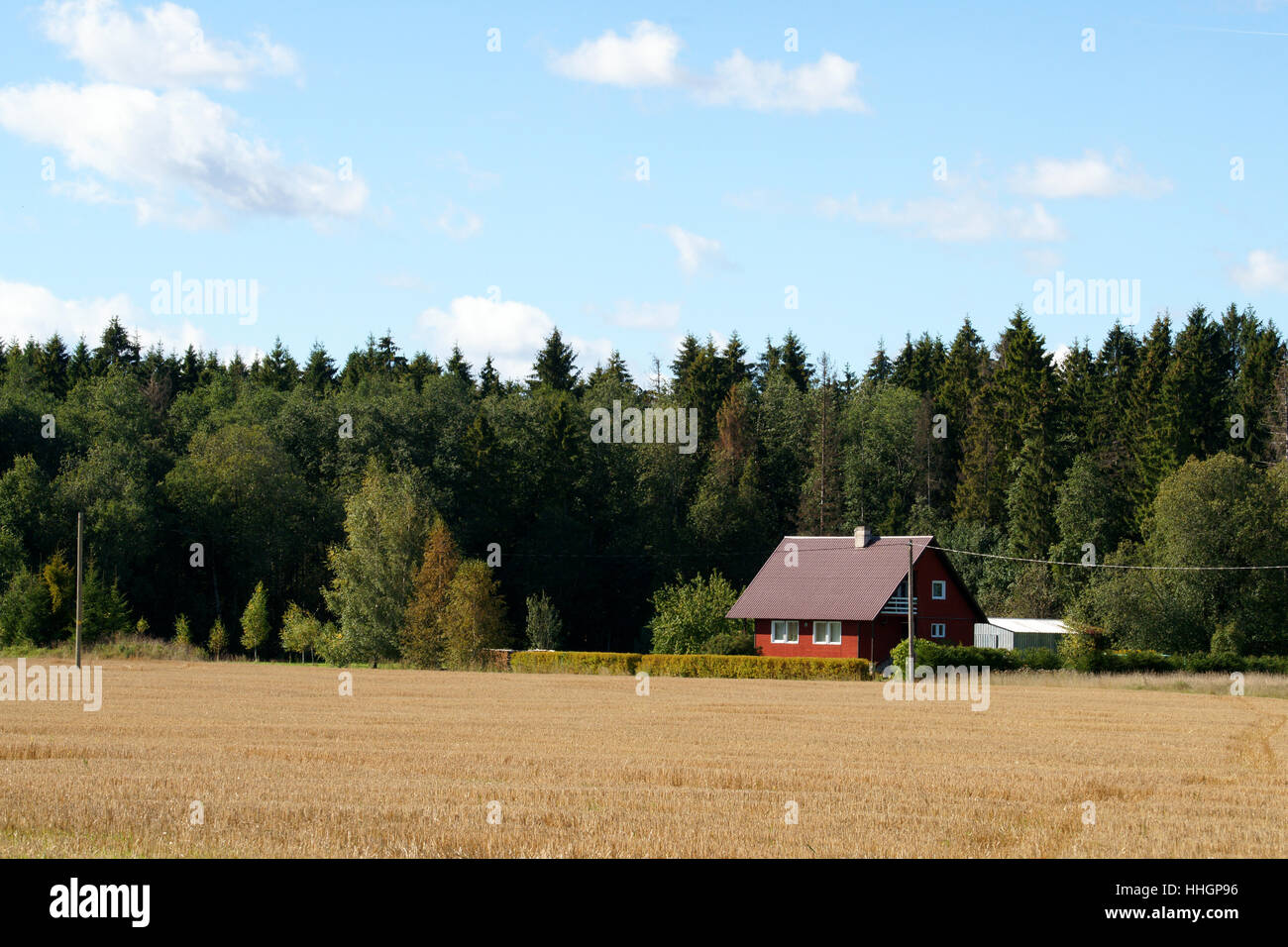 blue, tree, modern, modernity, window, porthole, dormer window, pane ...