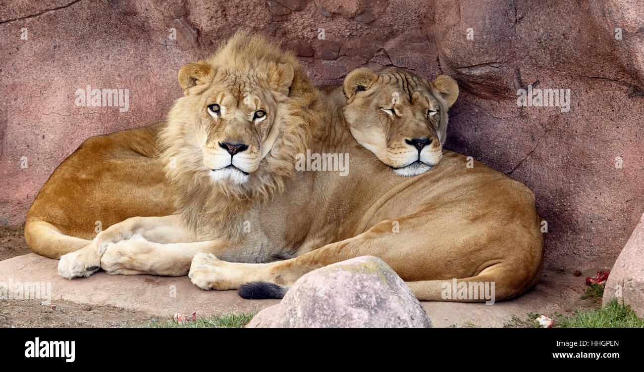 Trust and protection Stock Photo - Alamy
