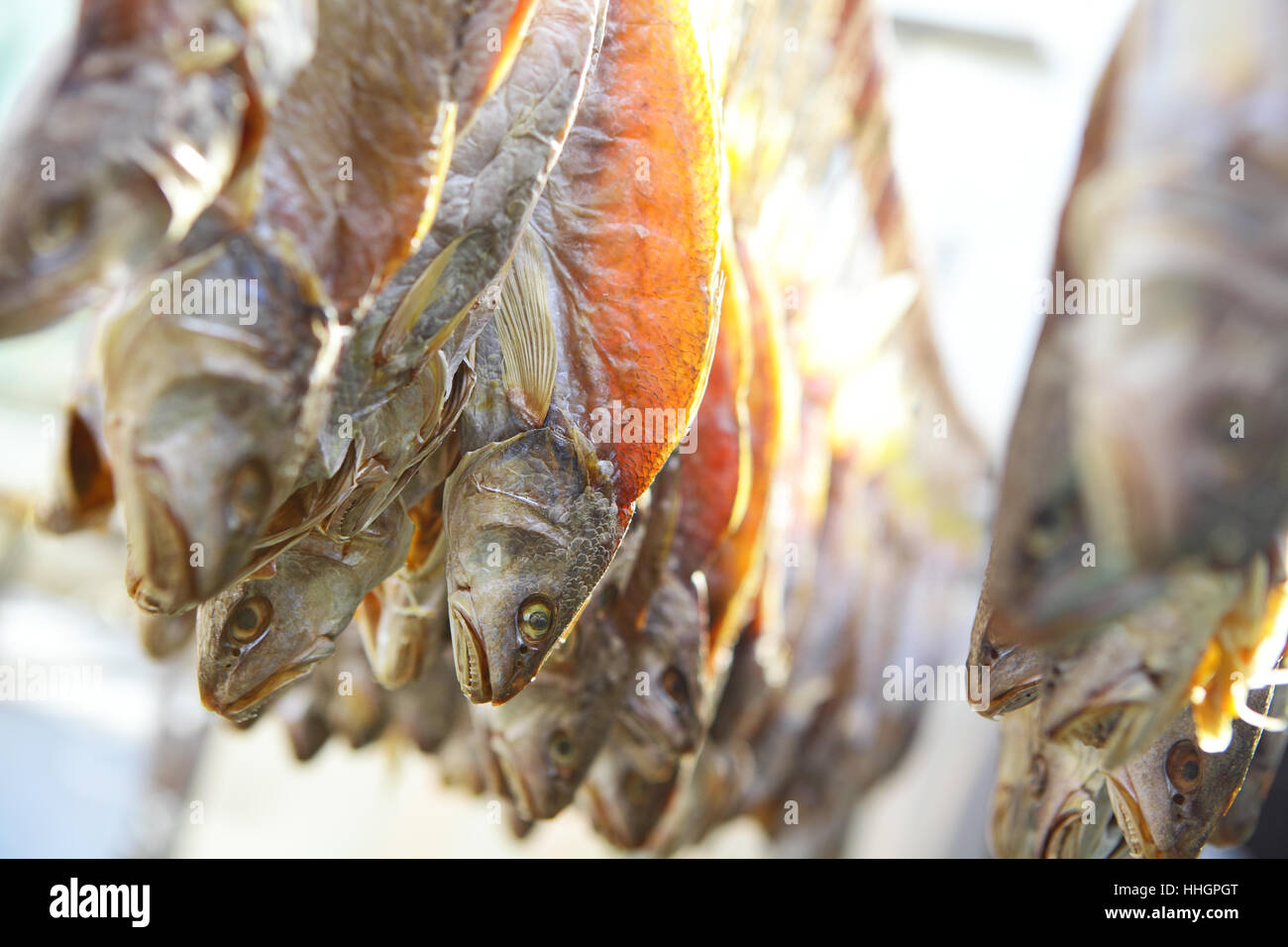 food, aliment, inside, isolated, stone, fish, rock, traditional ...