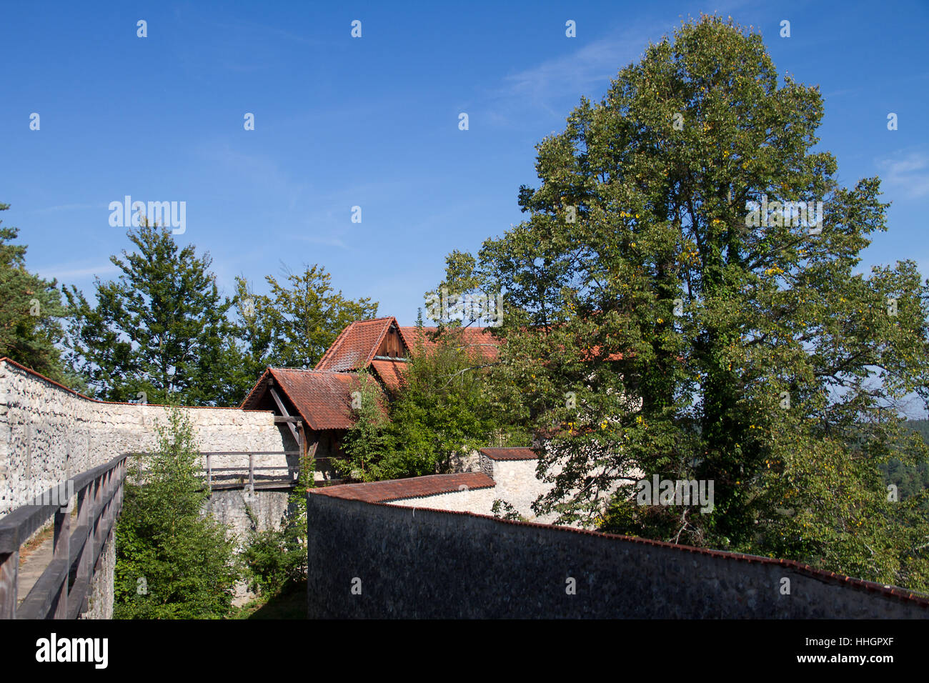 blue, tree, trees, bavaria, roofs, style of construction, architecture ...