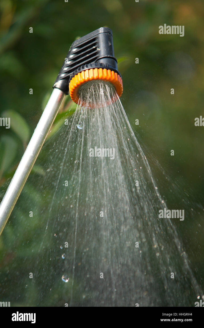 garden, summer, summerly, heat, refreshing, gardens, douche, shower ...