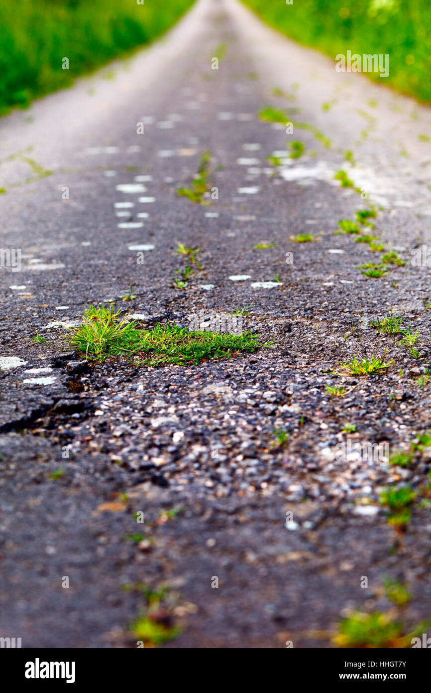 field, asphalt, road, path, way, street, meadow, grass, lawn, green ...