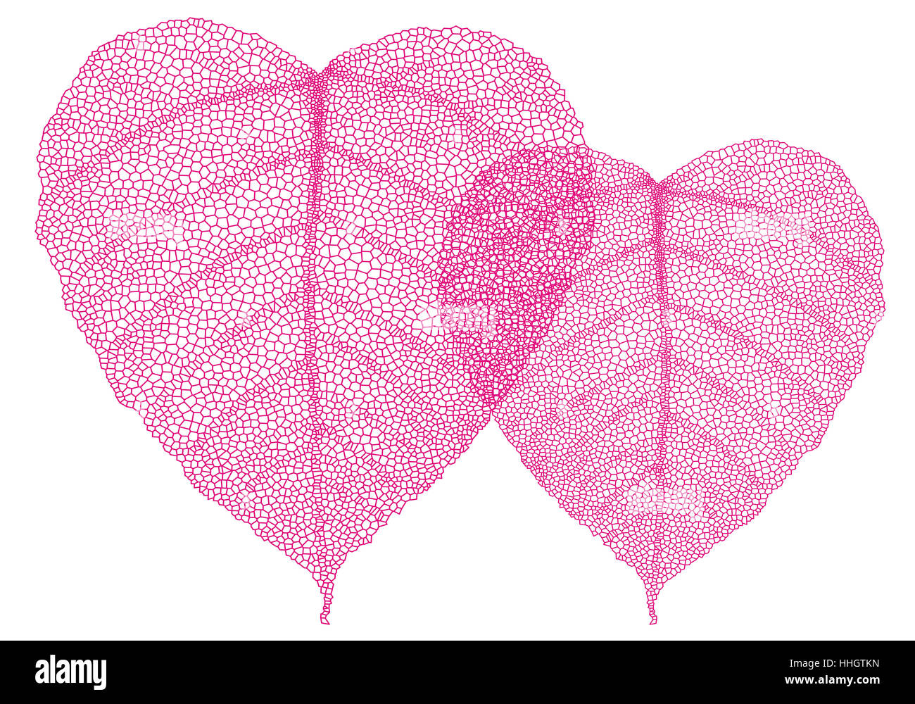 leaf, leaves, wedding, marriage, marriage ceremony, wedding ceremony ...