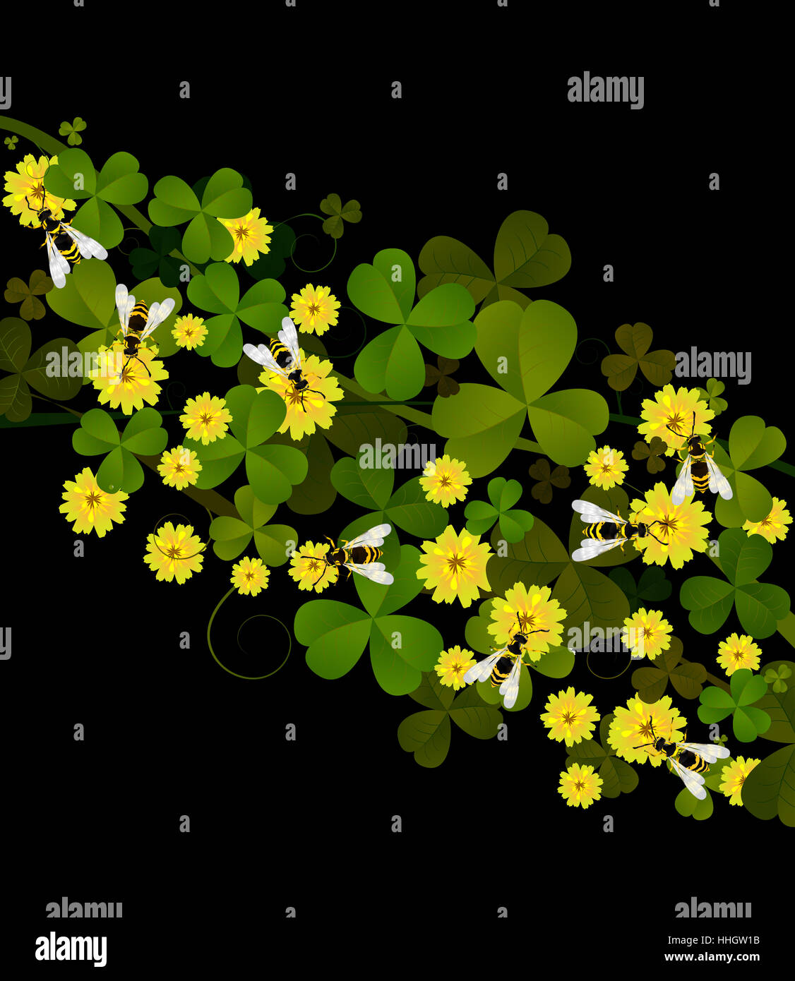 Black melilot hi-res stock photography and images - Alamy
