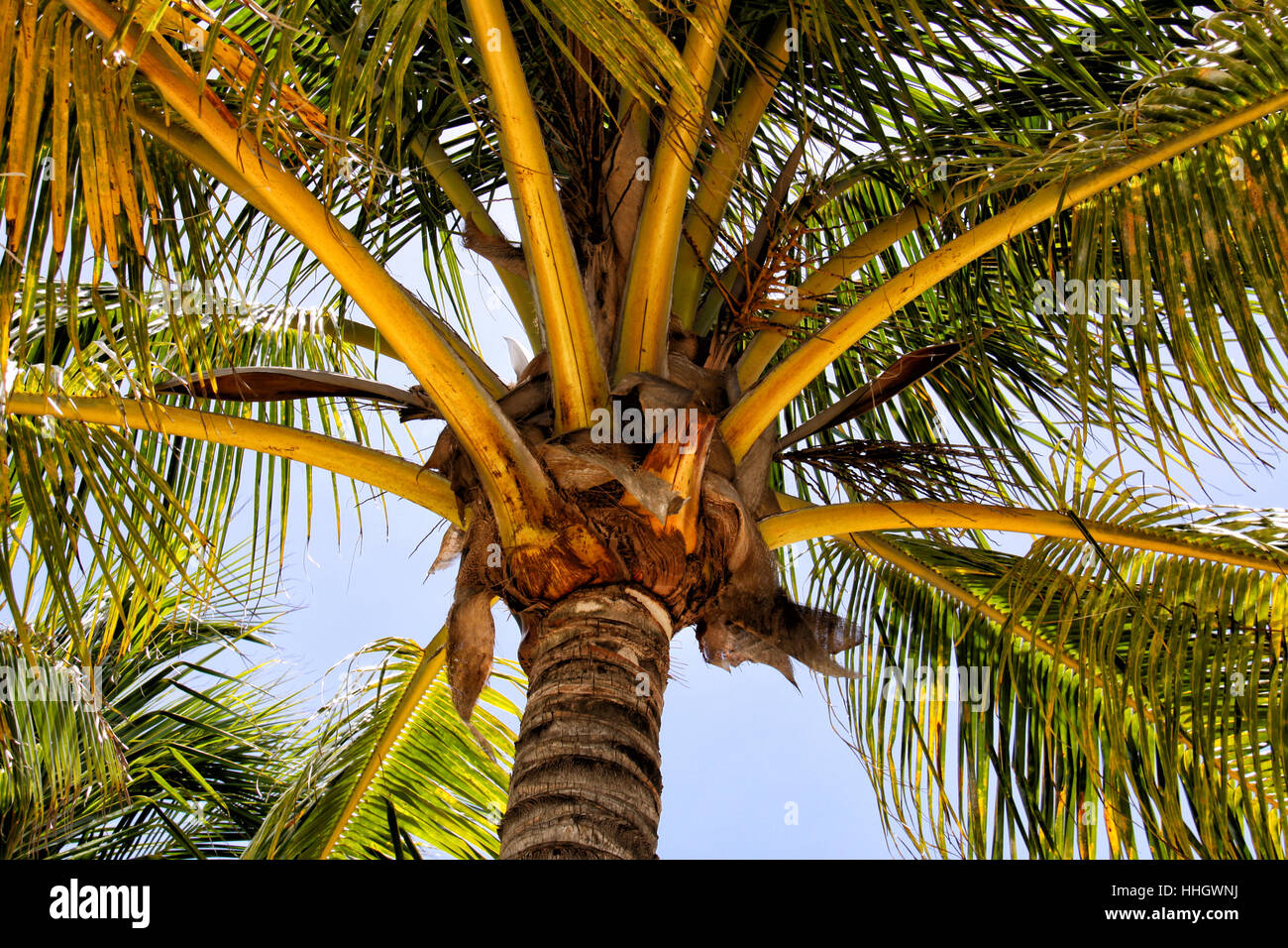 Salt in the palms hi-res stock photography and images - Alamy