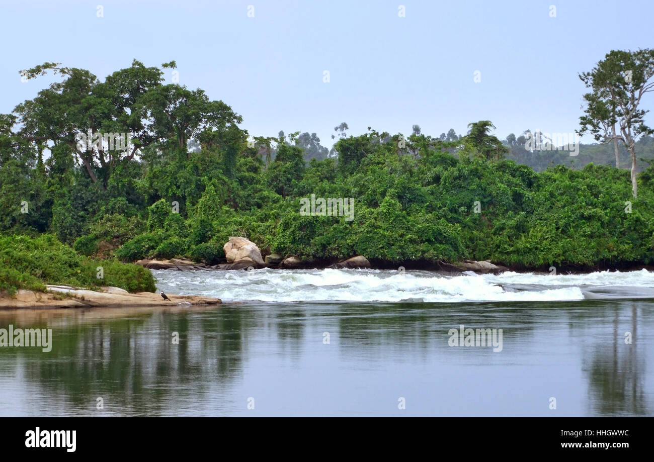 waterside scenery showing the Victoria Nile in Uganda (Africa Stock ...