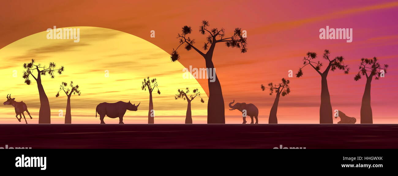 Shadows of animals in the savannah next to baobabs by sunset Stock ...