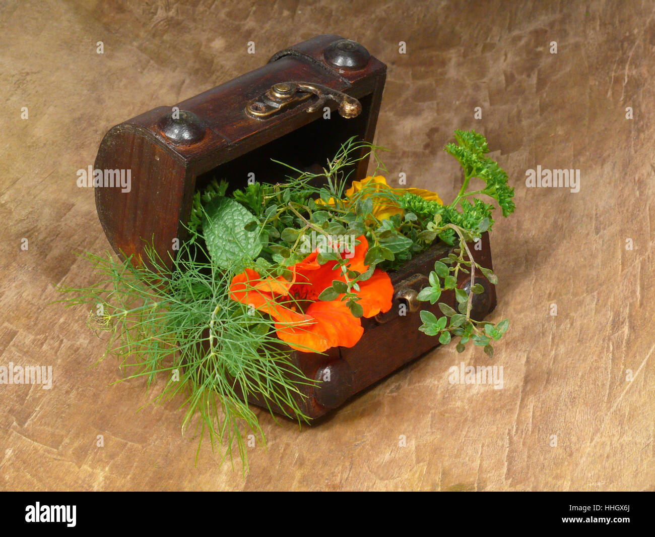 treasures of nature Stock Photo - Alamy