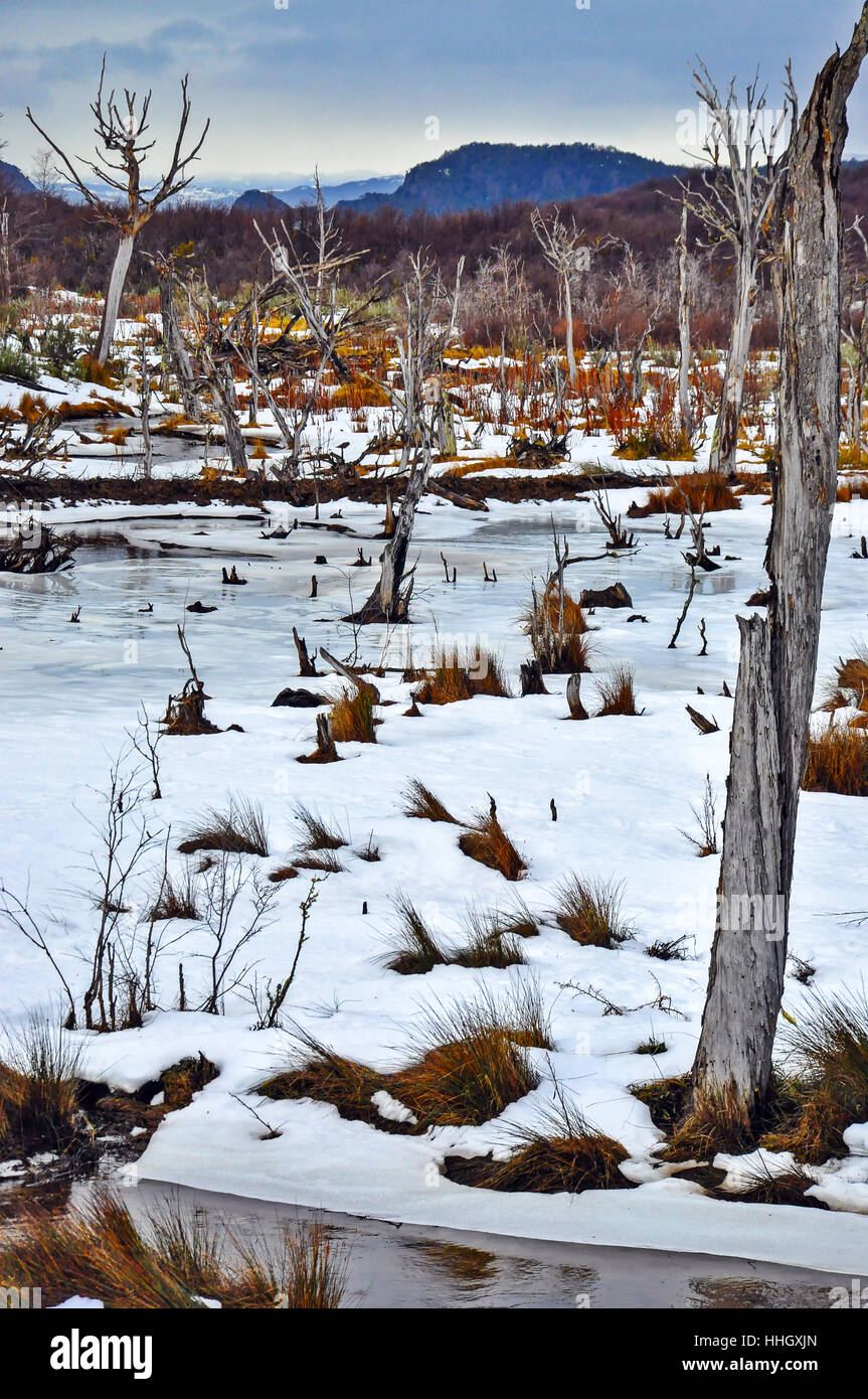 winter, snow, coke, cocaine, material, drug, anaesthetic, addictive ...