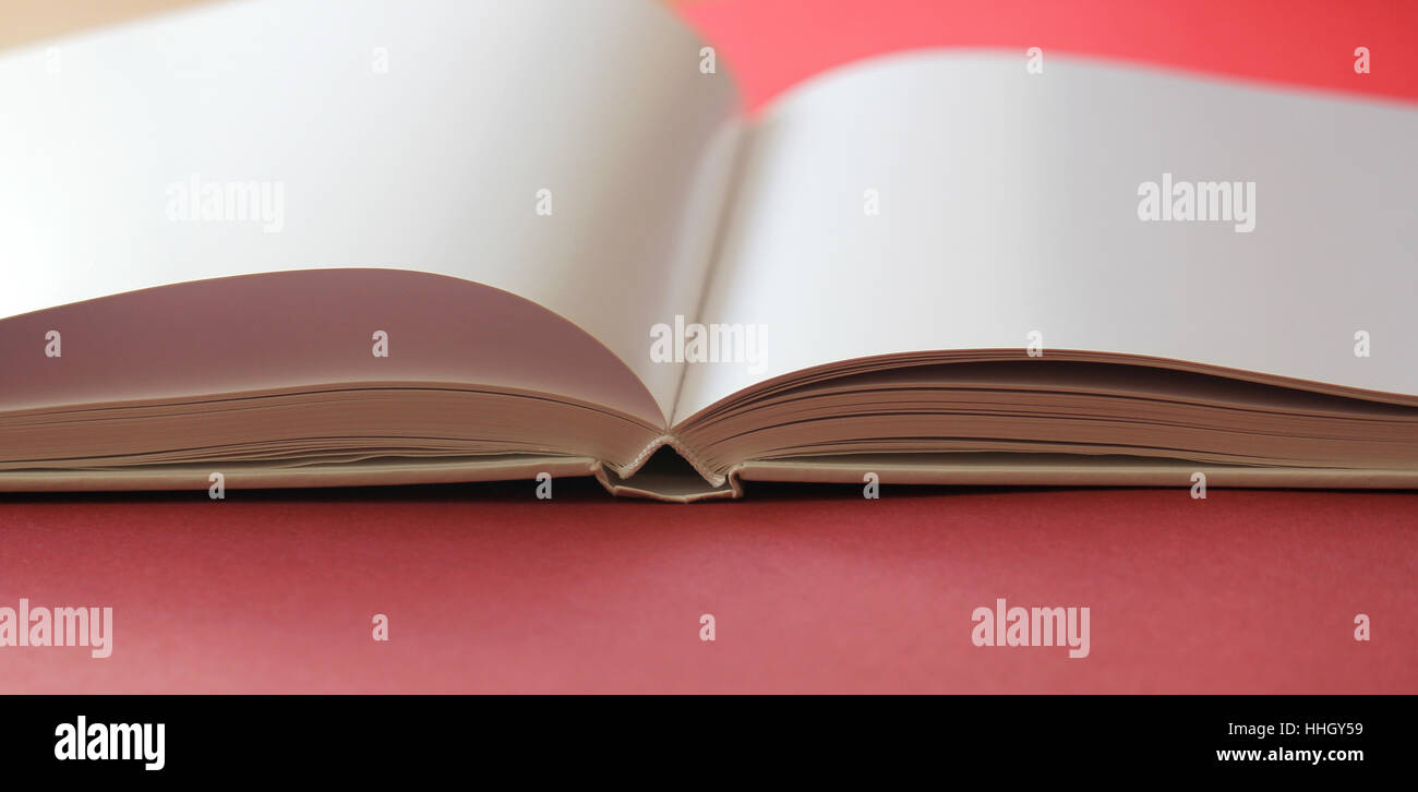 story, letter, thriller, liaison, scanning, reads, book, empty, narrate ...