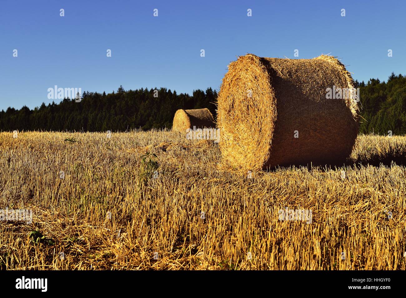 agriculture, farming, field, straw ball, straw, harvested, scenery ...