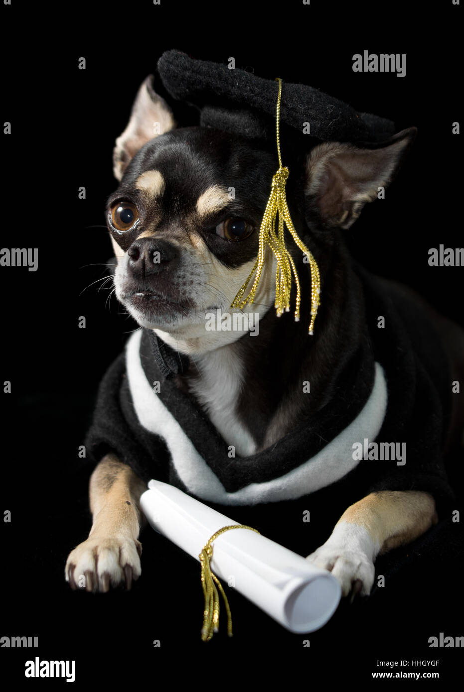 Academic regalia robe hi-res stock photography and images - Alamy