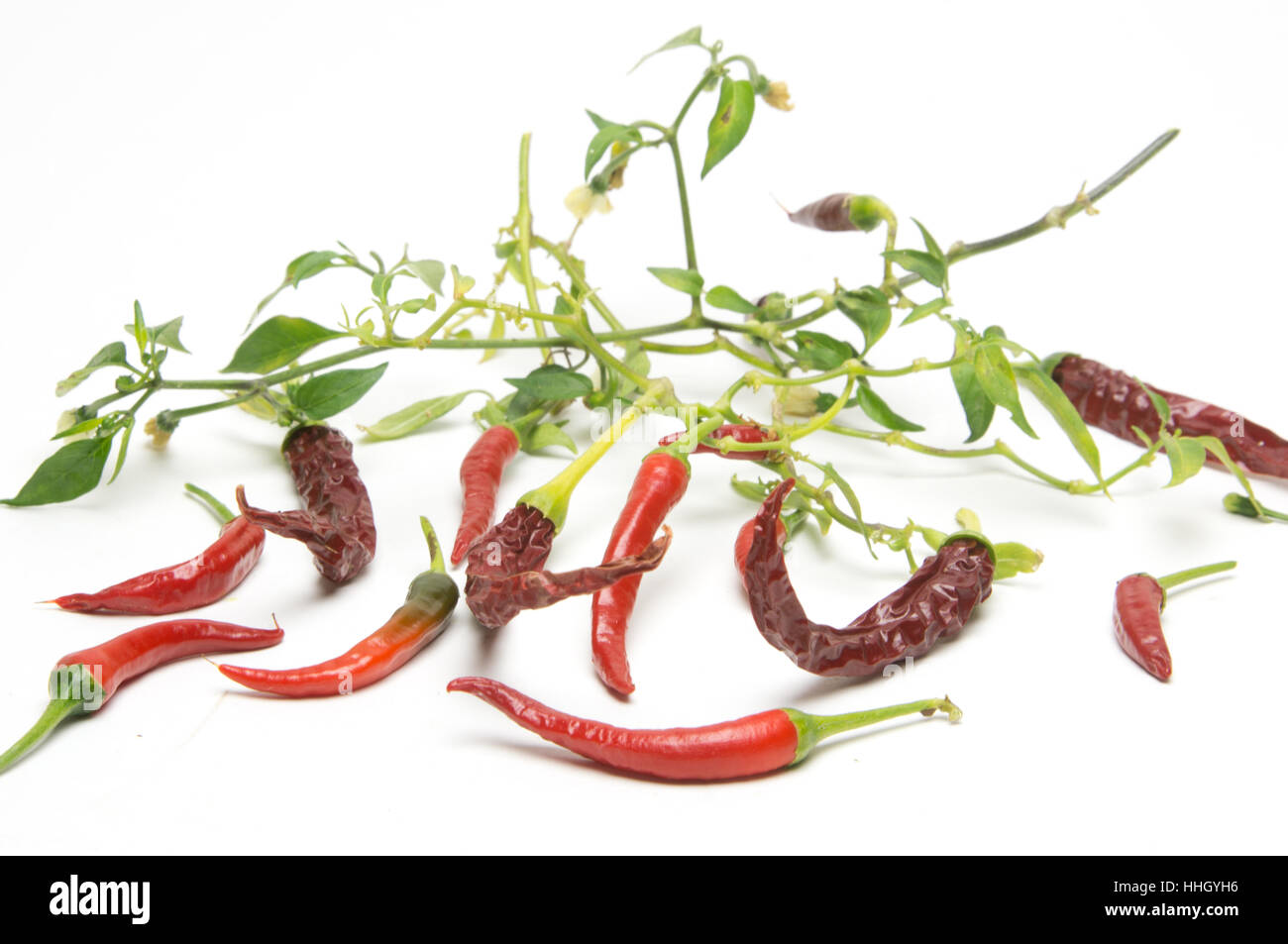 spice, isolated, leaves, spicy, red peppers, chilli, chili, backdrop ...