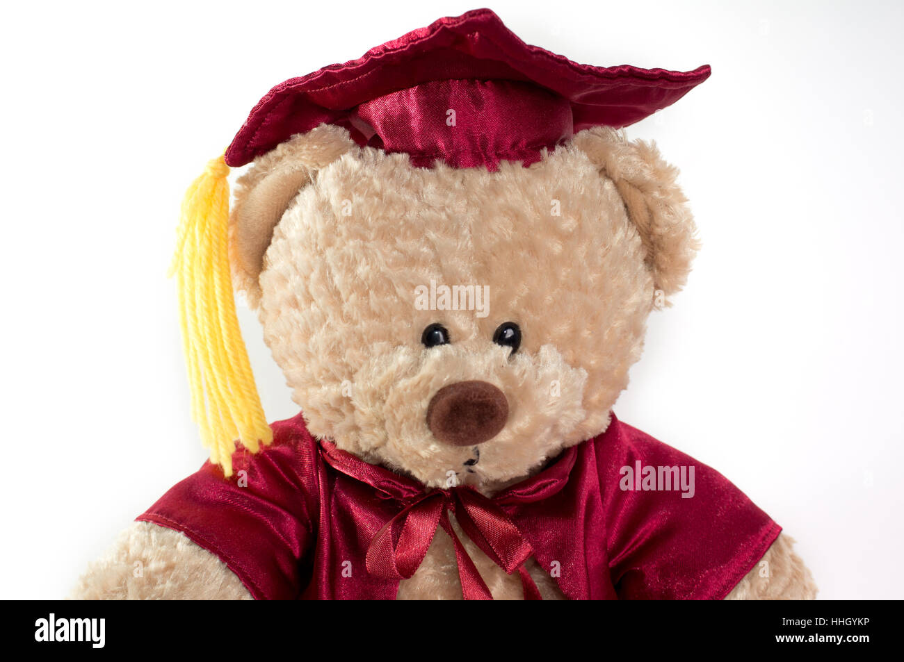 study, teddy bear, teddybear, learn, smart, student, university ...