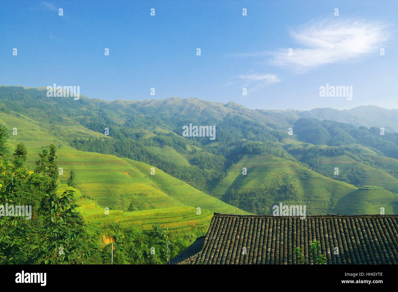 house, building, agricultural, tree, asia, agriculture, farming, field ...
