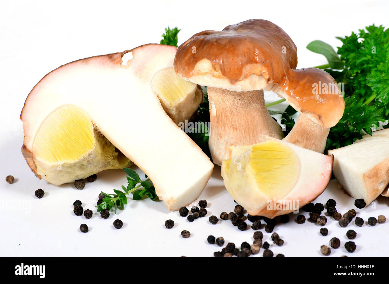 Fungus slippery meat hi-res stock photography and images - Alamy