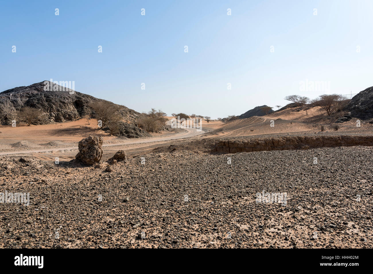 A track in Wadi Stock Photo - Alamy