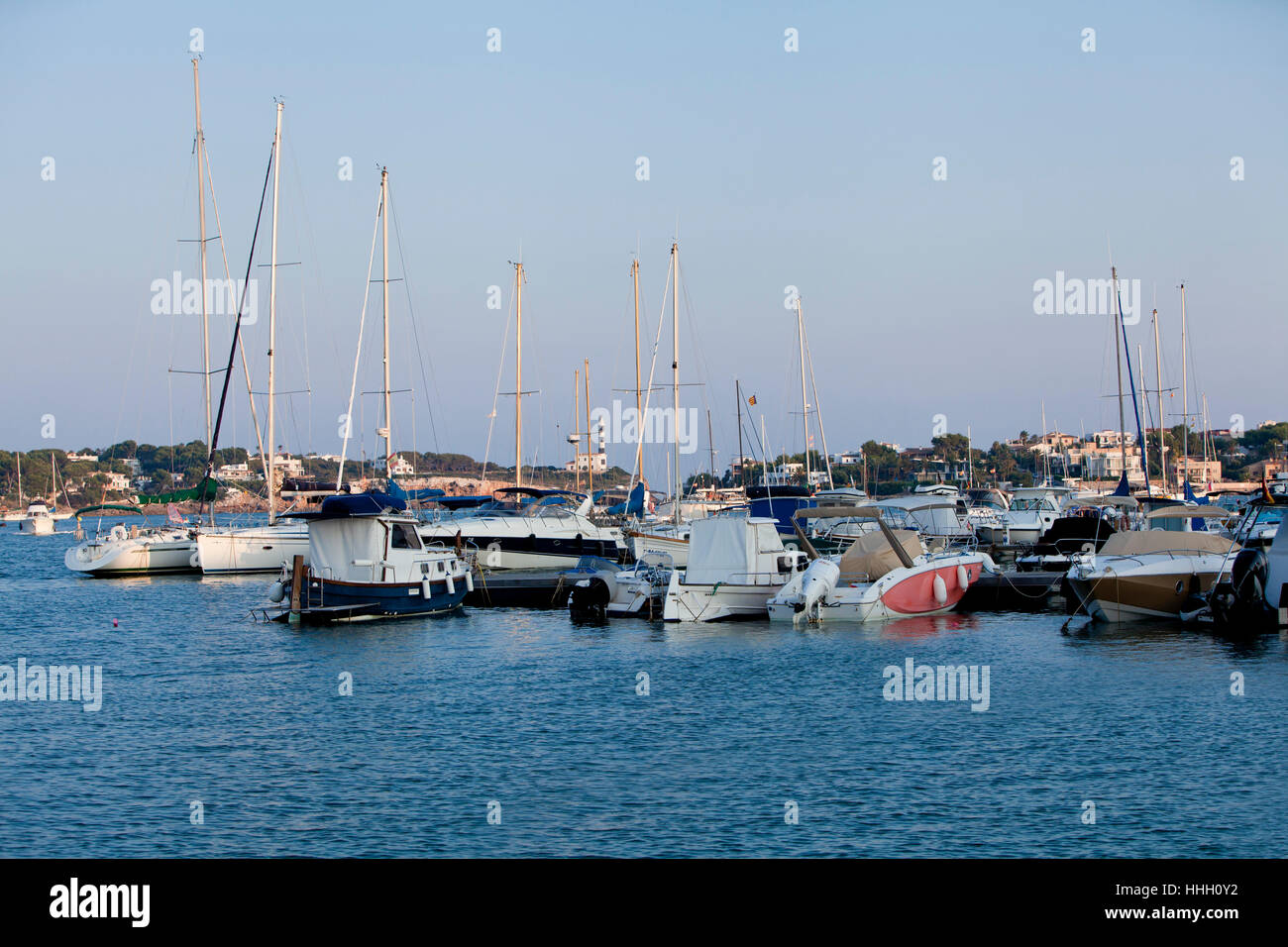 fish, harbor, coast, harbours, fishery, dock, salt water, sea, ocean ...
