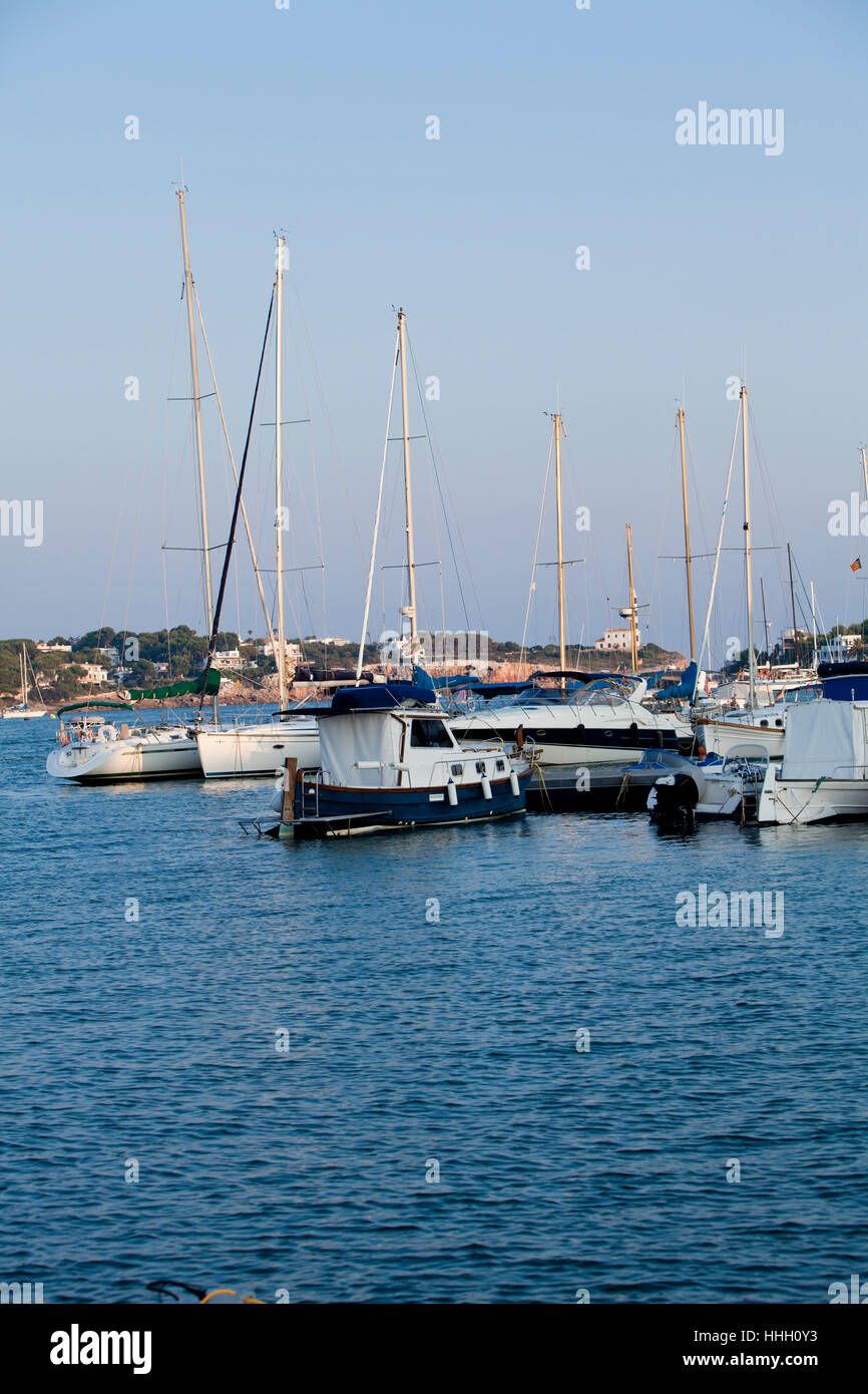 fish, harbor, coast, harbours, fishery, dock, salt water, sea, ocean ...