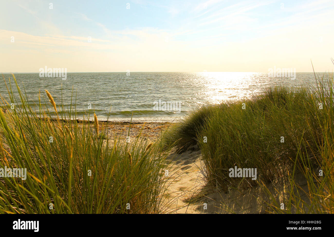at the beach Stock Photo - Alamy