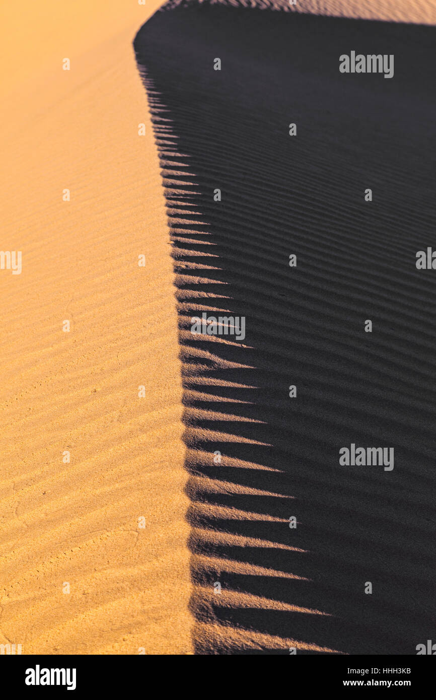 desert, wasteland, usa, dune, backdrop, background, sands, sand ...