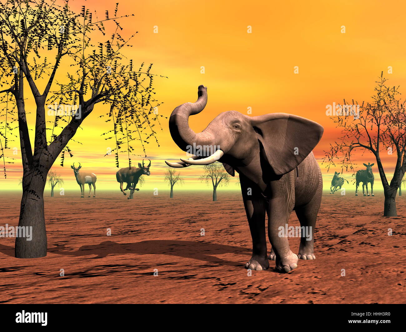 animal, africa, elephant, savannah, illustration, wildlife, render ...