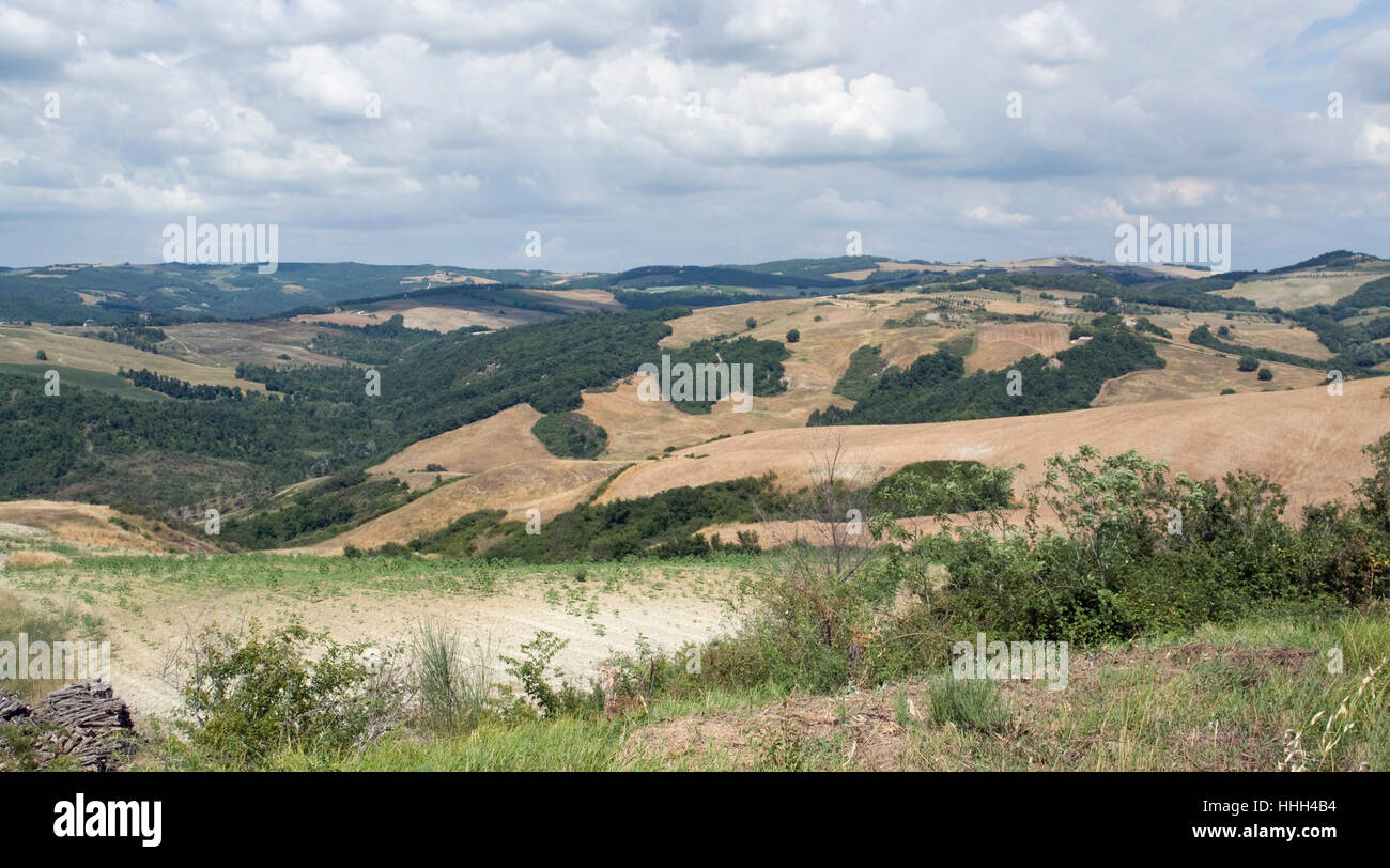 bucolic, agriculture, farming, tuscany, idyllic, scenery, countryside ...