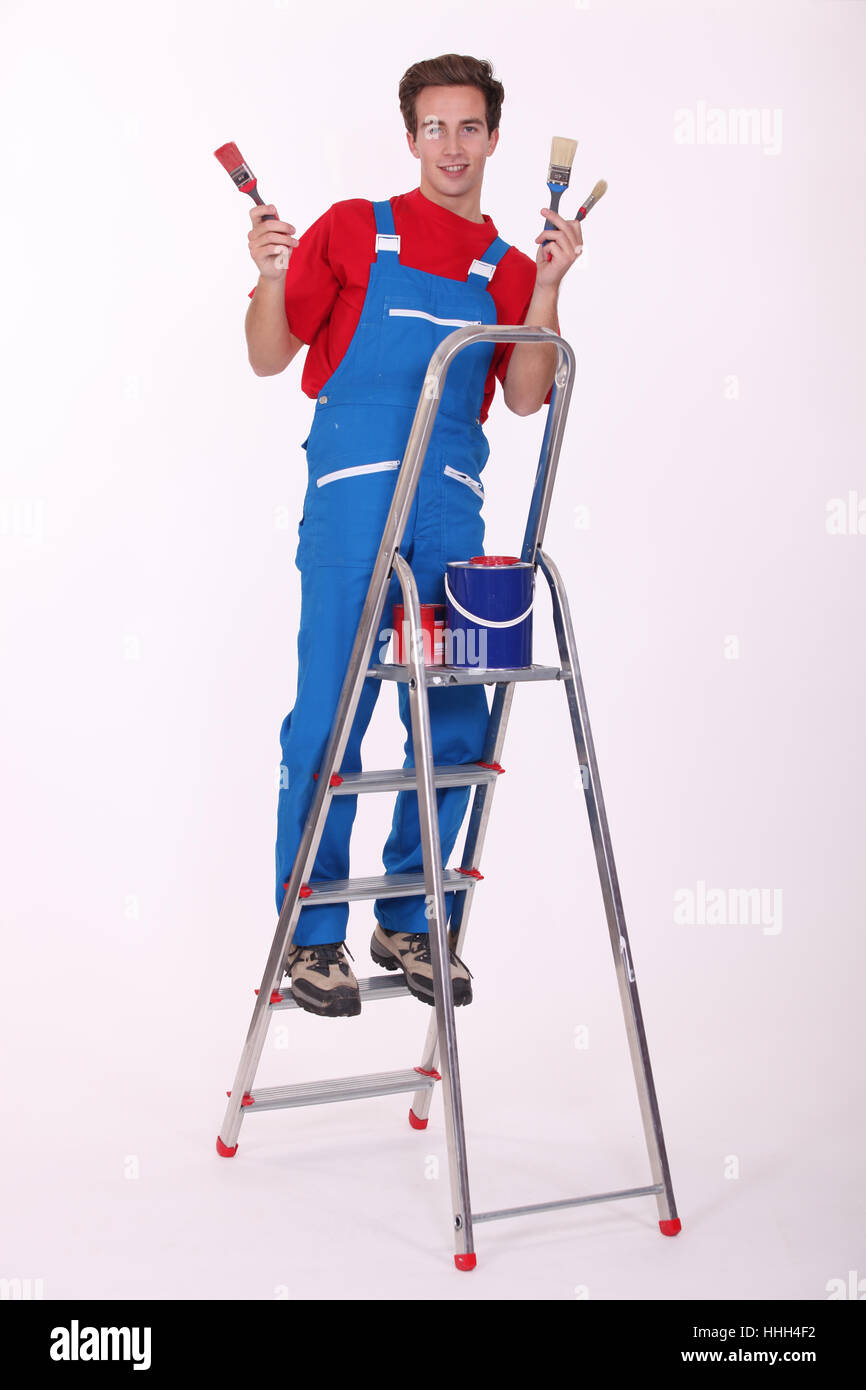 blue, adult, adults, supplier, contractor, decorating, backdrop ...