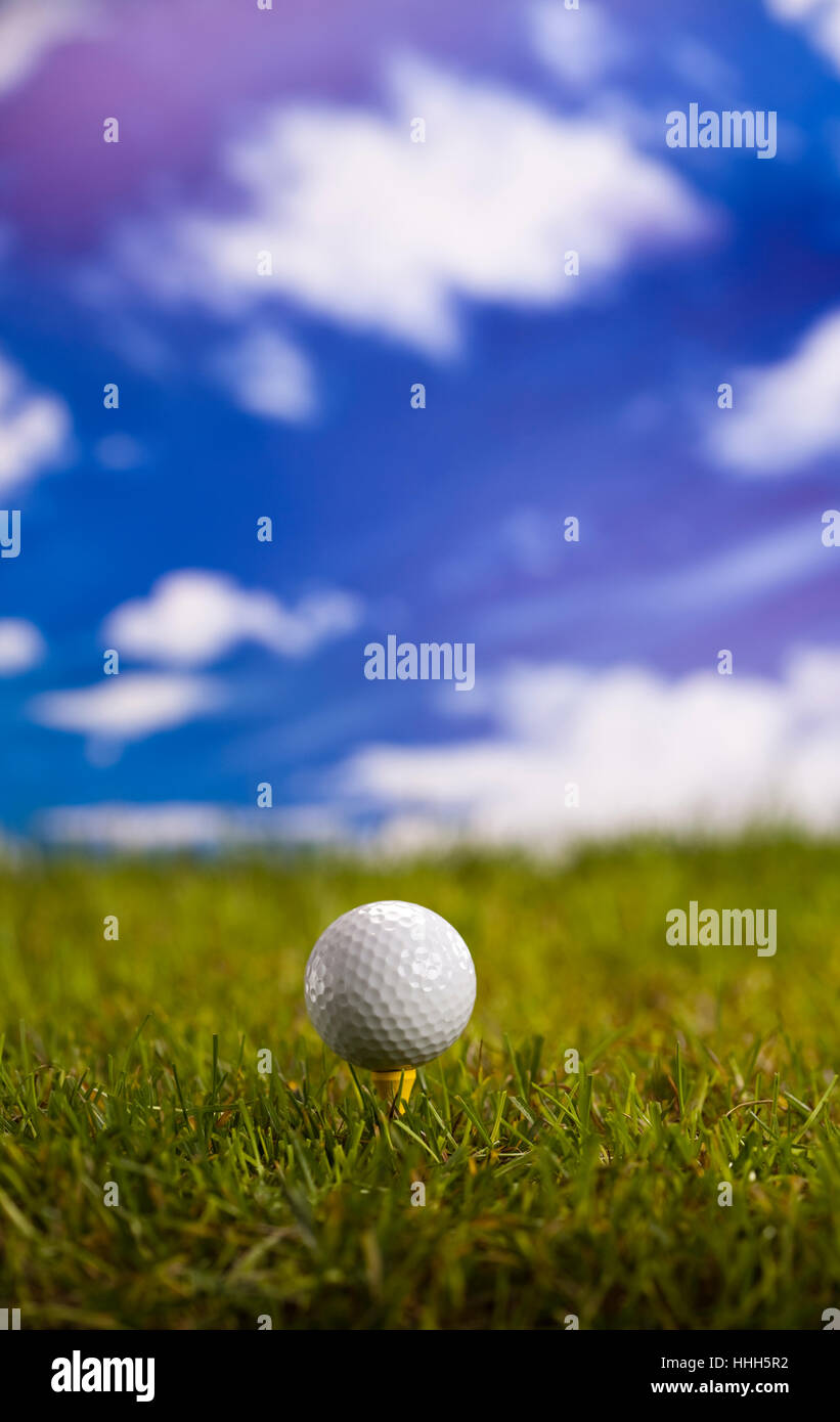 sport, sports, lifestyle, ball, association, club, golf, golfer, object ...