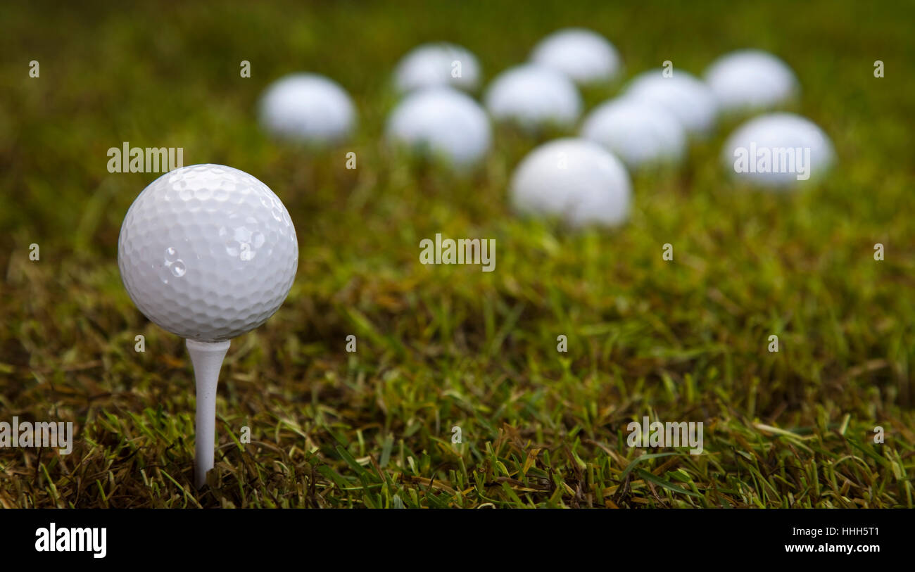 sport, sports, lifestyle, ball, association, club, golf, golfer, object ...