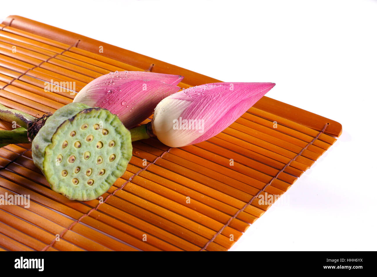 religion, asia, bud, rattan, petal, lotus, seed, spa, mineral spring ...
