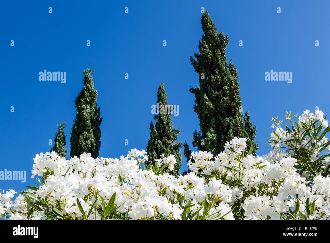 blue, travel, environment, enviroment, colour, model, design, project ...