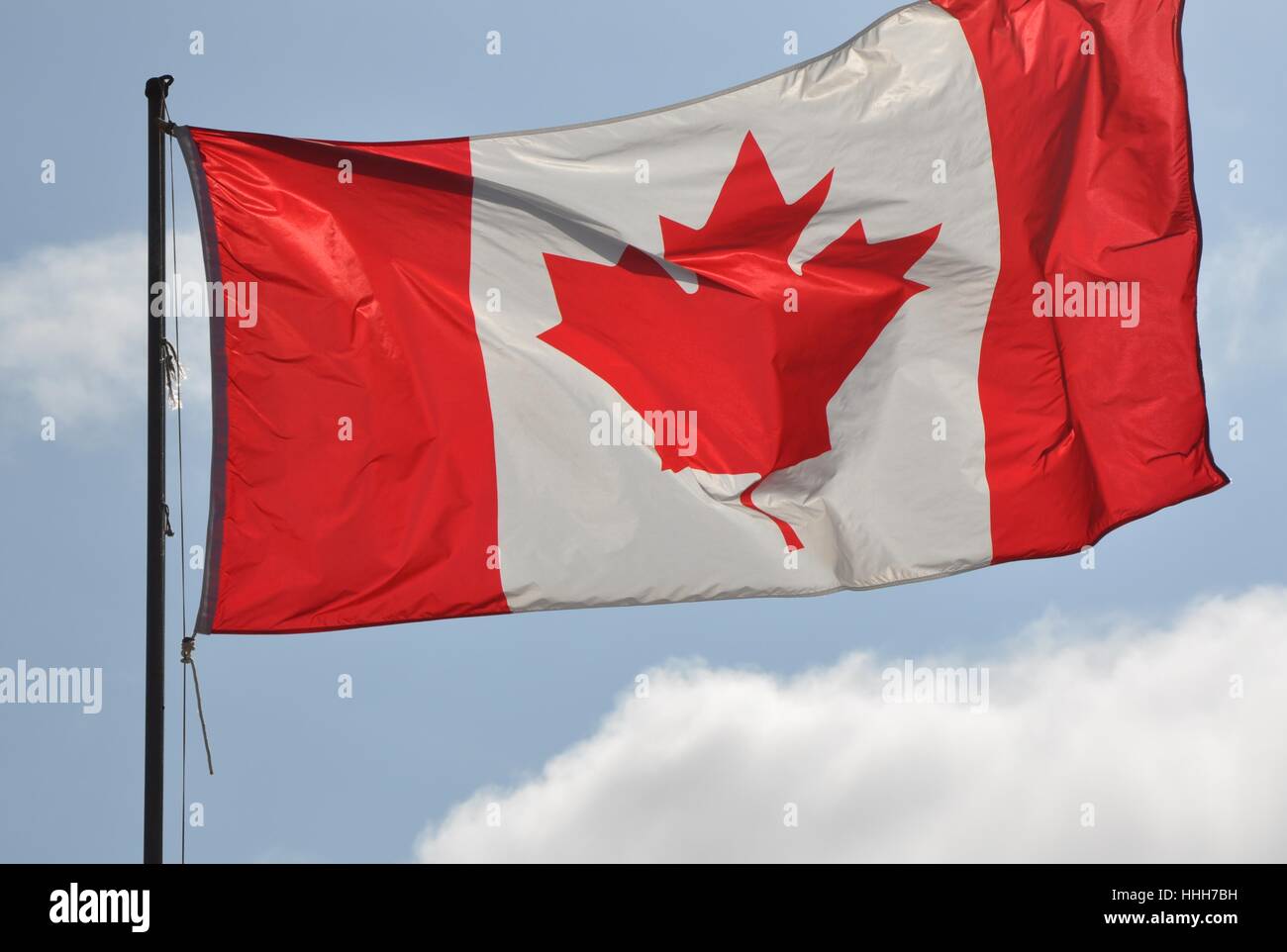 canadian flag (flag) - maple leaf Stock Photo - Alamy