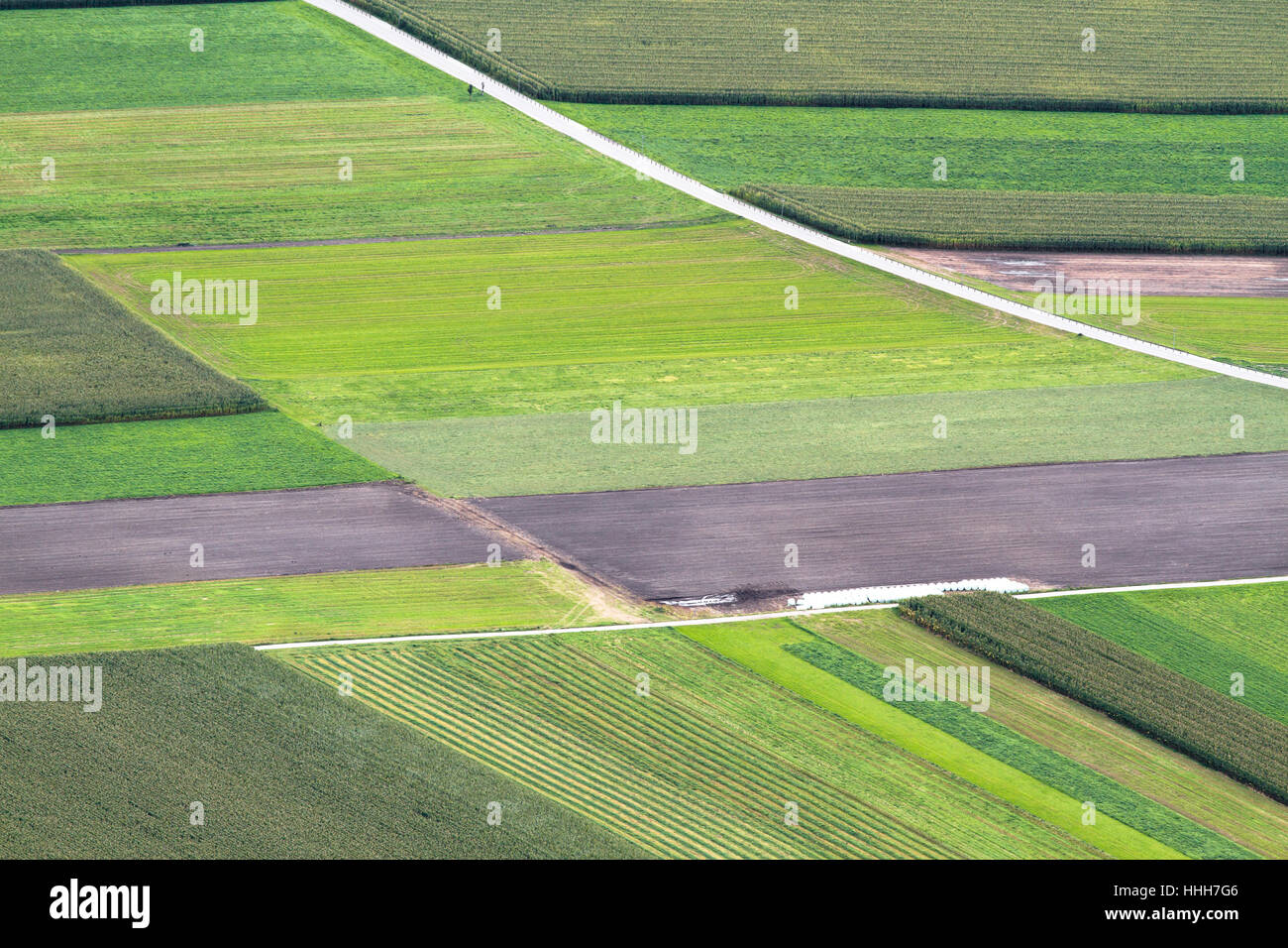 agriculture, farming, south tyrol, fields, italy, green, agriculture ...