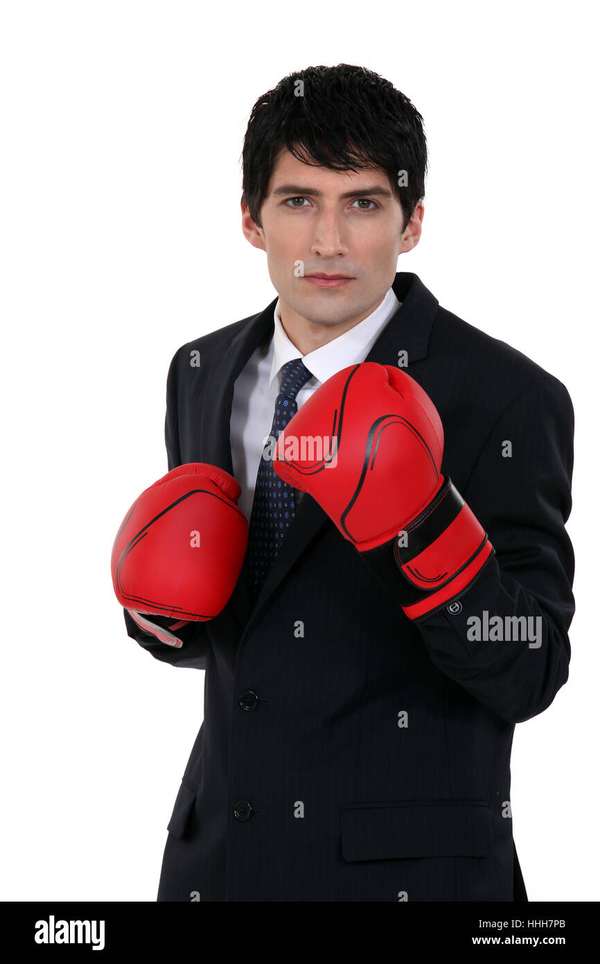 adult, action, adults, boxer, activity, backdrop, background, boxing ...