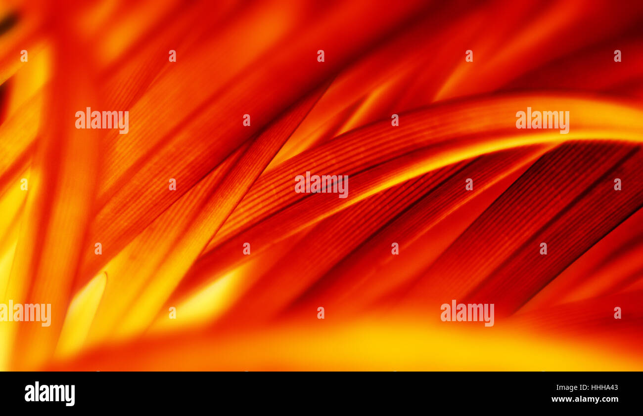 Techflow hi-res stock photography and images - Alamy