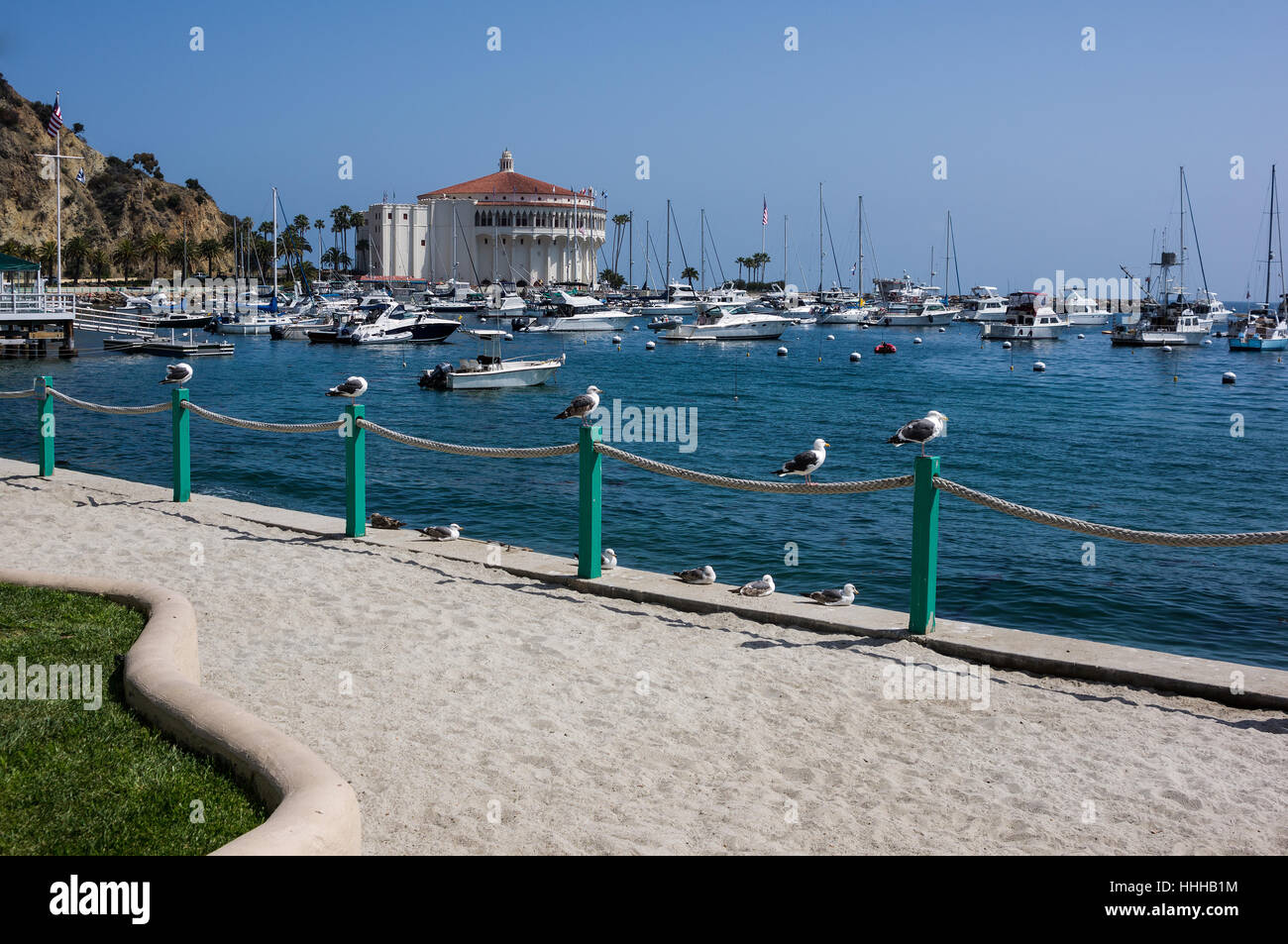 california, dock, fishing boat, pacific, salt water, sea, ocean, water ...