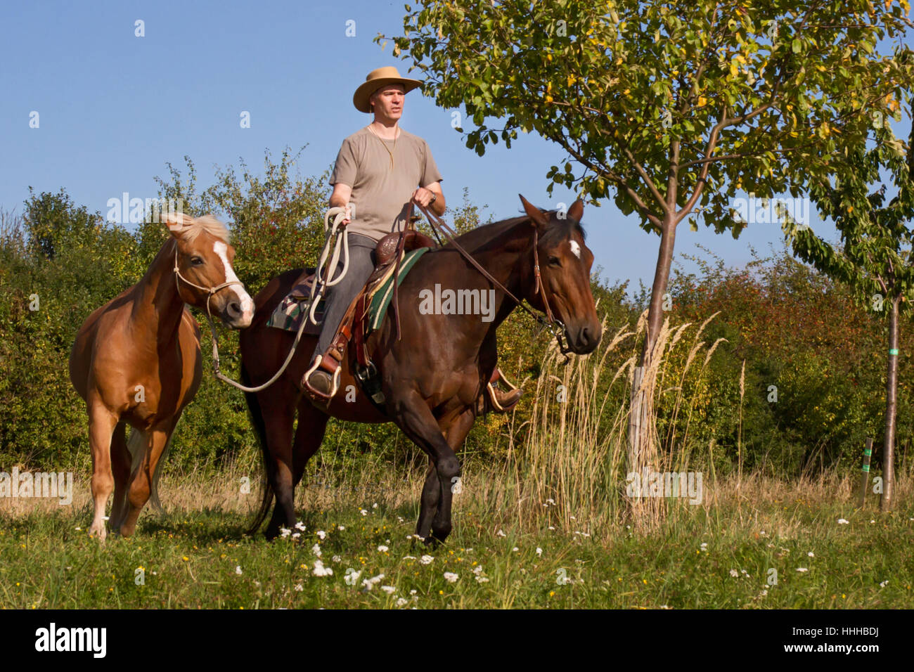 Horse and man hi-res stock photography and images - Alamy