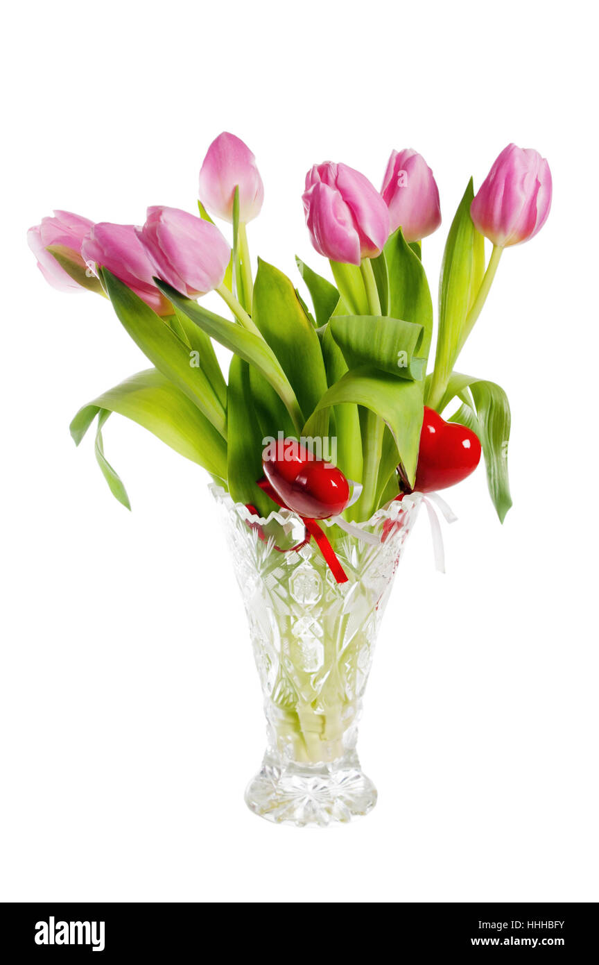 greeting, beautiful, beauteously, nice, leaf, objects, isolated, colour ...