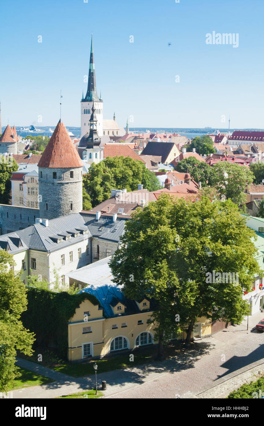 estonia, blue, travel, buildings, houses, city, town, culture, tree ...