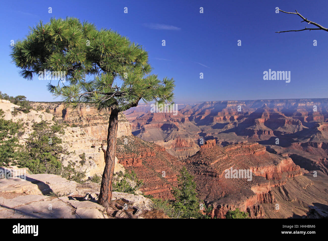 usa, rock, ravine, arizona, natural wonder, national park, grand canyon ...