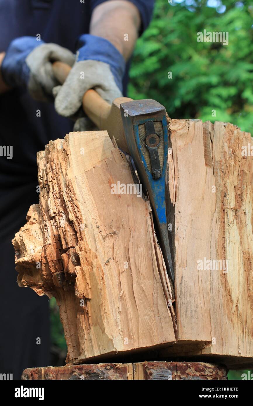 tree, wood, human, human being, campfire, split, burn, fall, autumn ...