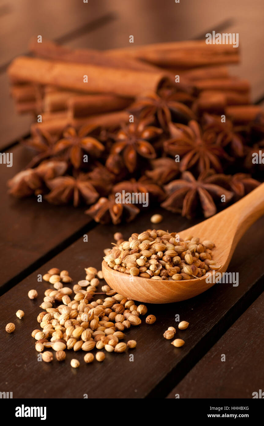 spices, seed, coriander, star, cinamon, cinnamon, anise, nature, close ...